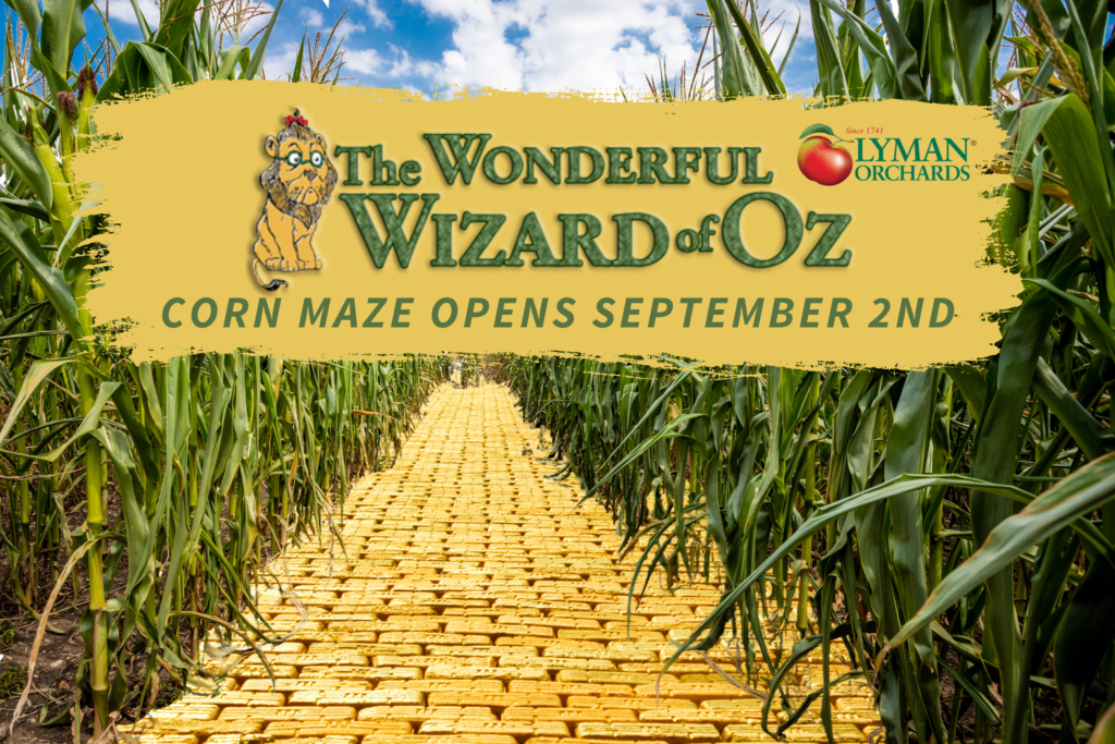 The Wonderful Wizard of Oz themed Corn Maze at Lyman Orchards ...
